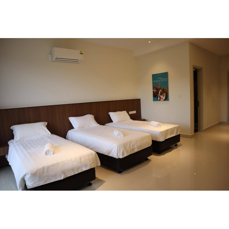 TYPE A (STANDARD) - DXN PMS